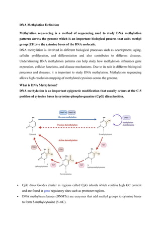 DNA Methylation Technique in detail.docx