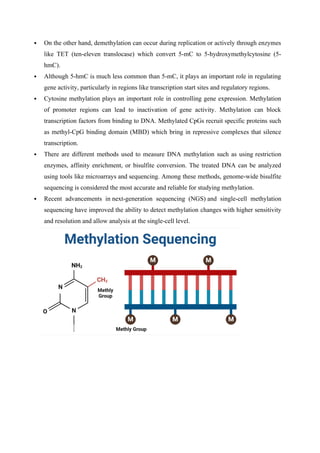 DNA Methylation Technique in detail.docx
