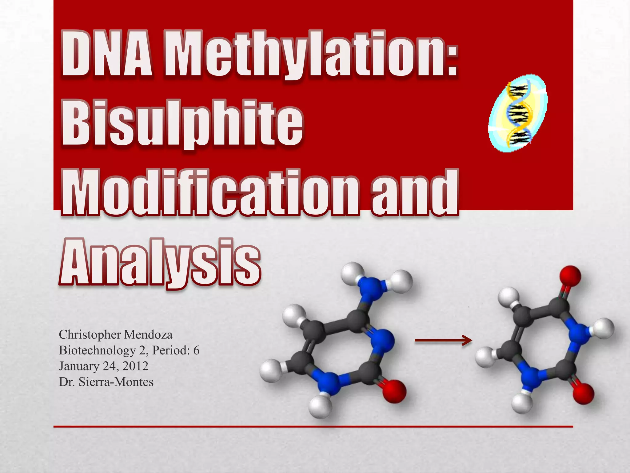 Dna methylation christopher-mendoza | PPT