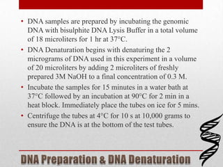 Dna methylation christopher-mendoza | PPTX