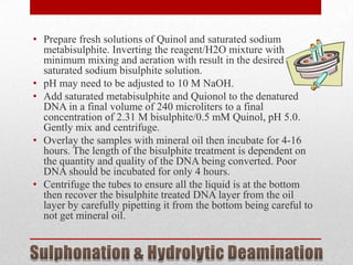 Dna methylation christopher-mendoza | PPT