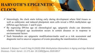 dna methylation (1).pptx