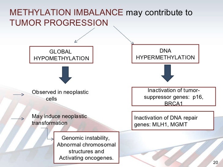 Dna methylation
