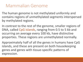 DNA methylation_2023.pptx