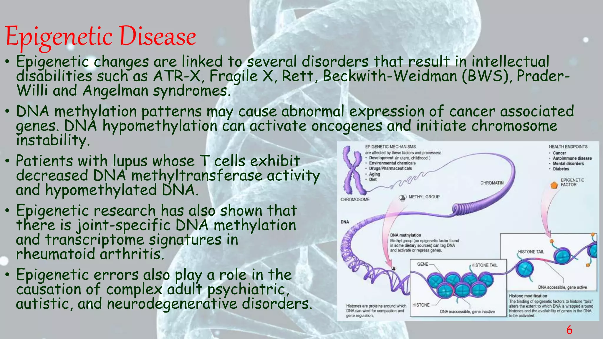 Dna methylation and epigenetics | PPTX