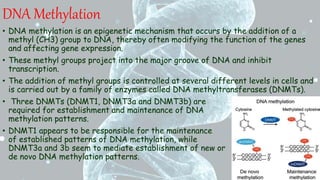 Dna methylation and epigenetics | PPTX