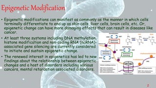 Dna methylation and epigenetics | PPTX