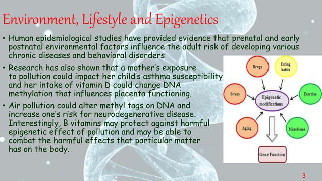 Dna methylation and epigenetics | PPTX | Medical Health