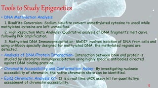 Dna methylation and epigenetics | PPTX