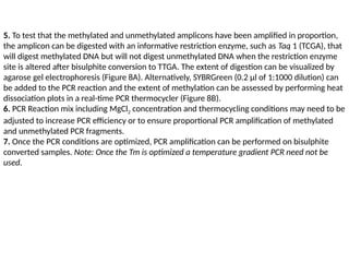 DNA methylation by Bisulphite sequencing MSC II write up.pptx