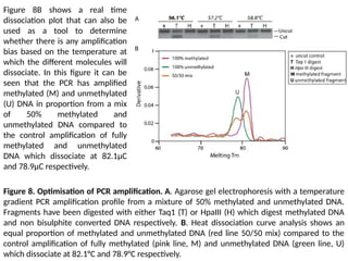 DNA methylation by Bisulphite sequencing MSC II write up.pptx