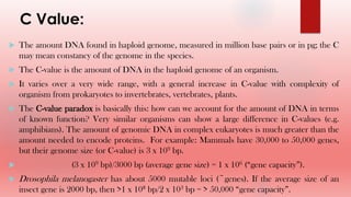 DNA Methylation & C Value.pdf