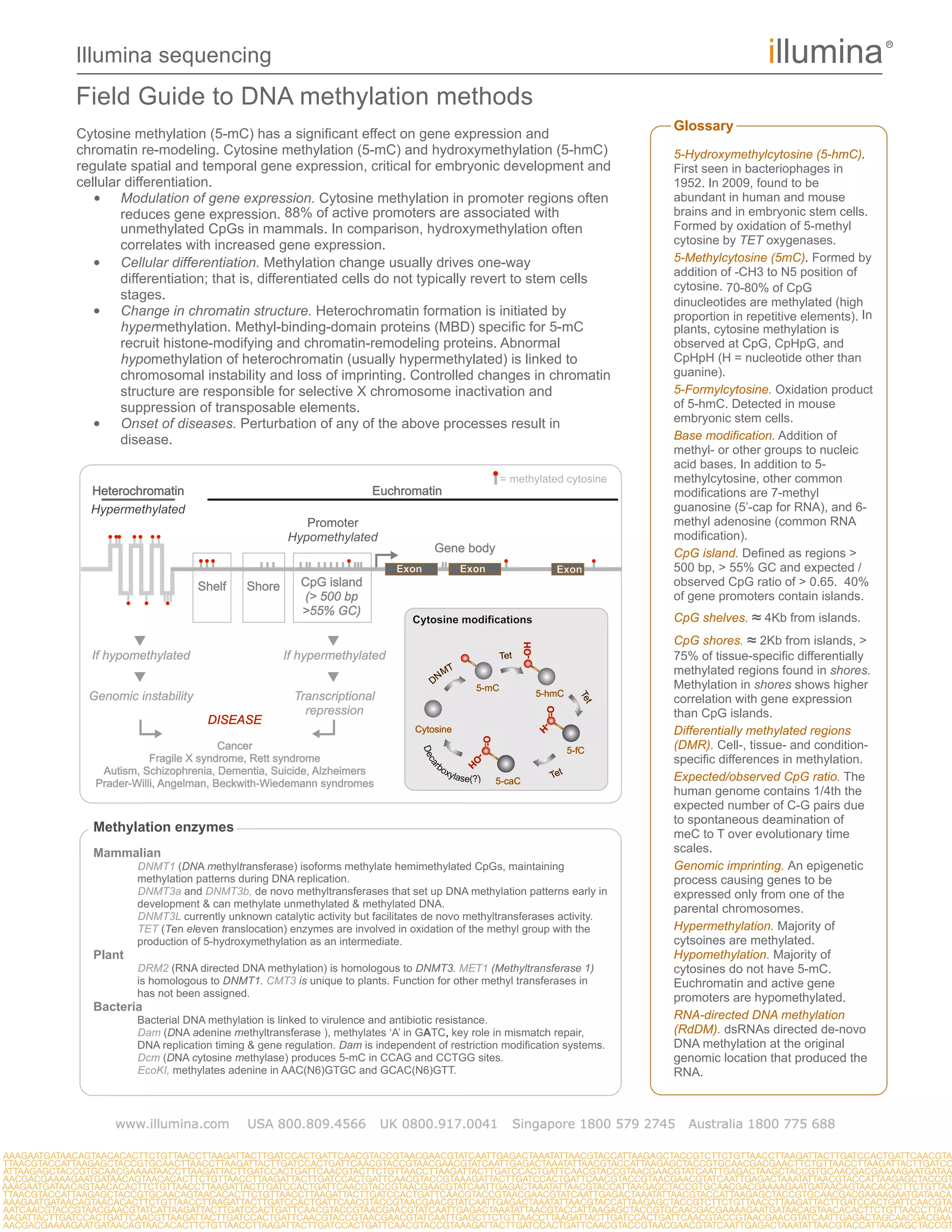 Dna methylation field guide 20130806 | PDF