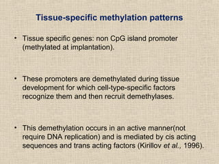 Dna methylation pattern during development | PPT