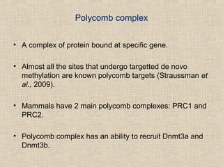 Dna methylation pattern during development | PPT