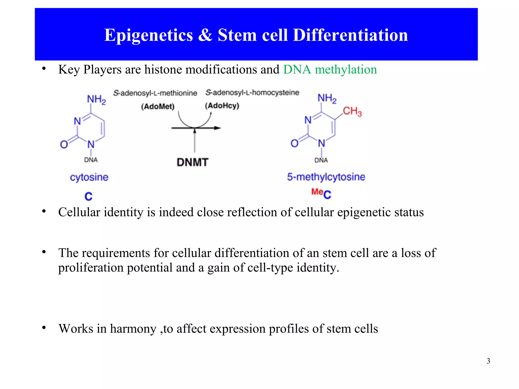 Dna methylation signature | PPT