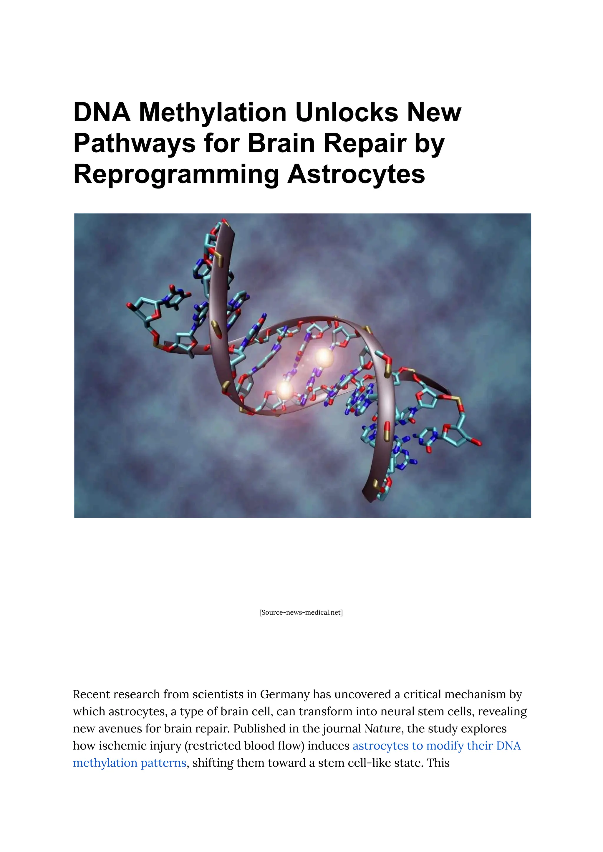 DNA Methylation Unlocks New Pathways for Brain Repair by Reprogramming ...