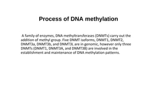 Dna methyltransferase screening | PPT