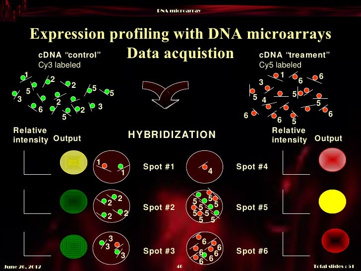 DNA microarray
