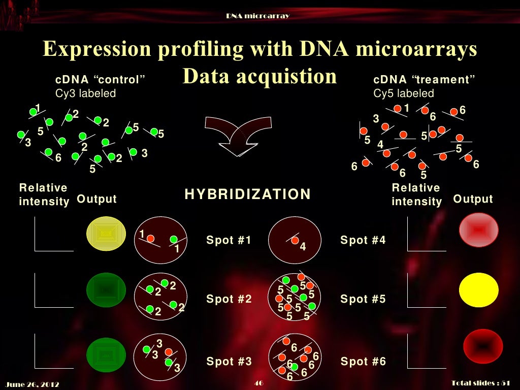 Dna Microarray
