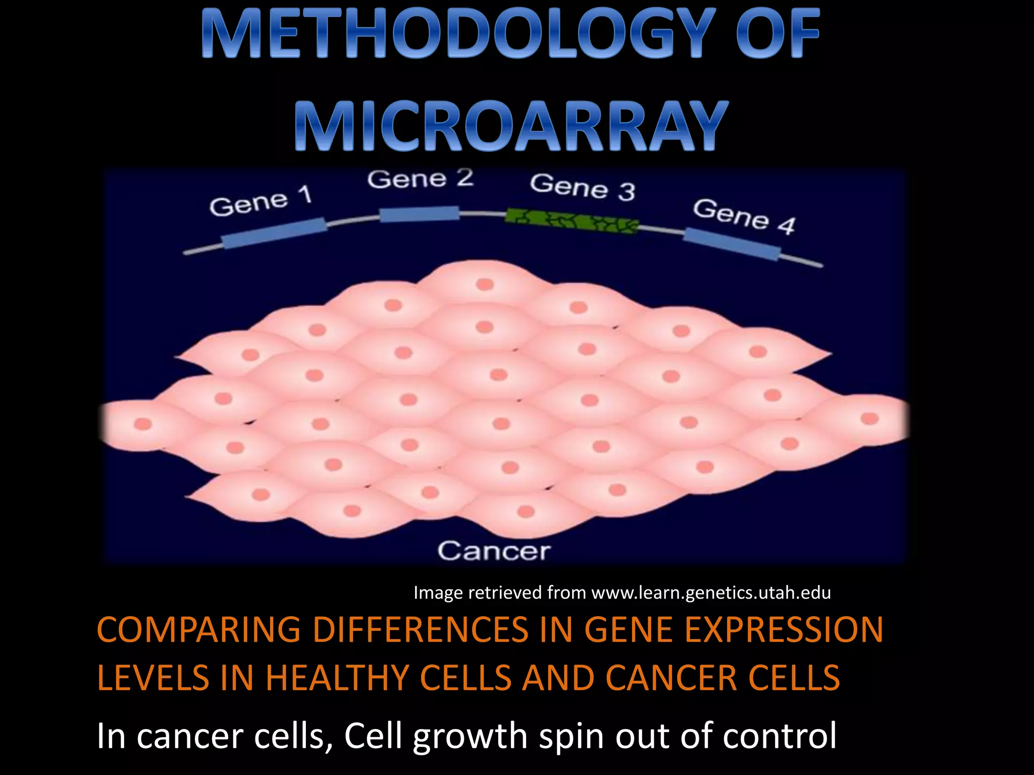 DNA Microarray and its Methodology | PPTX