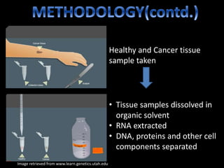 DNA Microarray and its Methodology | PPTX