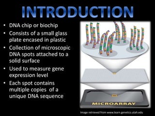 DNA Microarray and its Methodology | PPTX