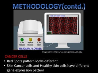 DNA Microarray and its Methodology | PPTX