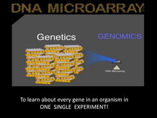 DNA Microarray and its Methodology | PPTX