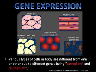 DNA Microarray and its Methodology | PPTX