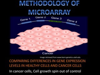DNA Microarray and its Methodology | PPTX
