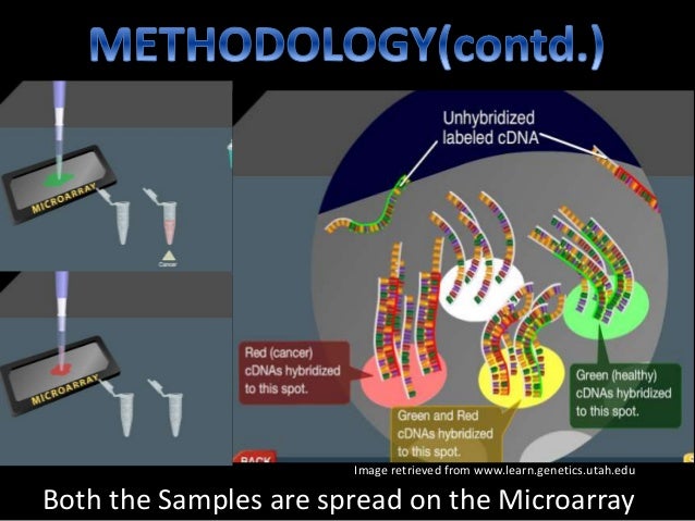 DNA Microarray and its Methodology