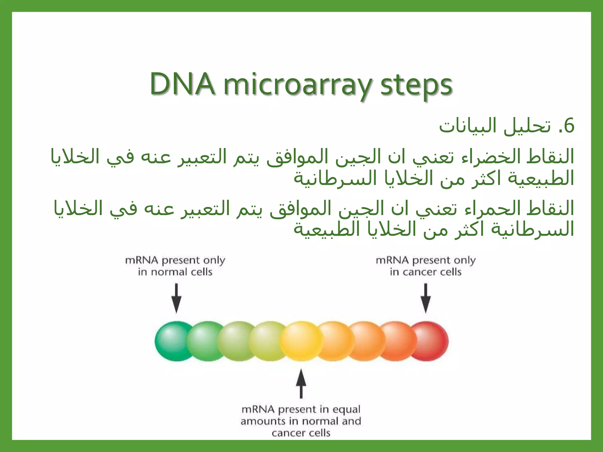 Dna microarray | PPTX
