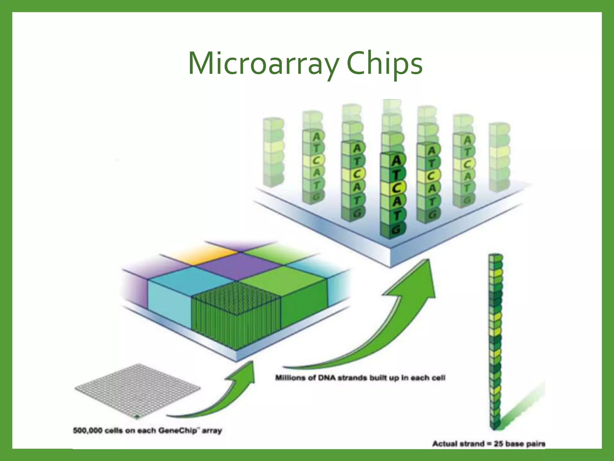 Dna microarray | PPTX