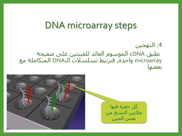 Dna microarray | PPTX