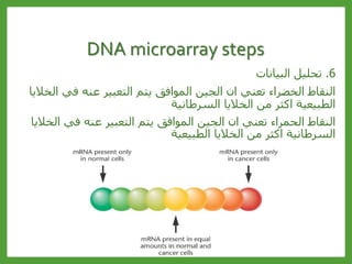 Dna microarray | PPTX