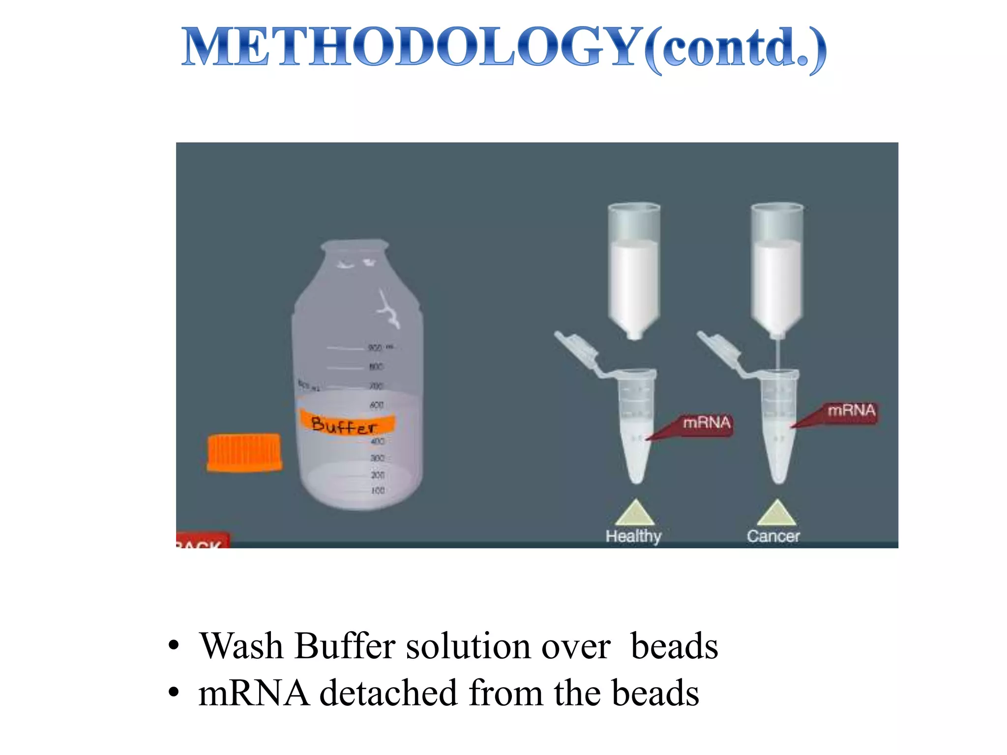 Dna Microarray Ppt