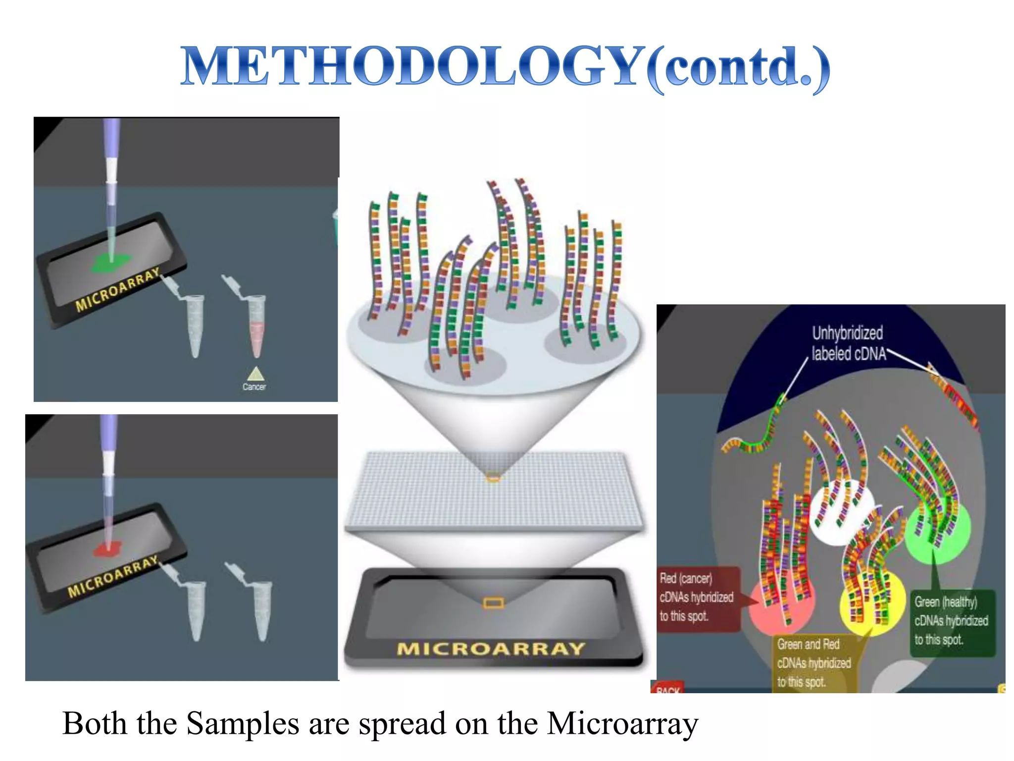 Dna microarray | PPTX