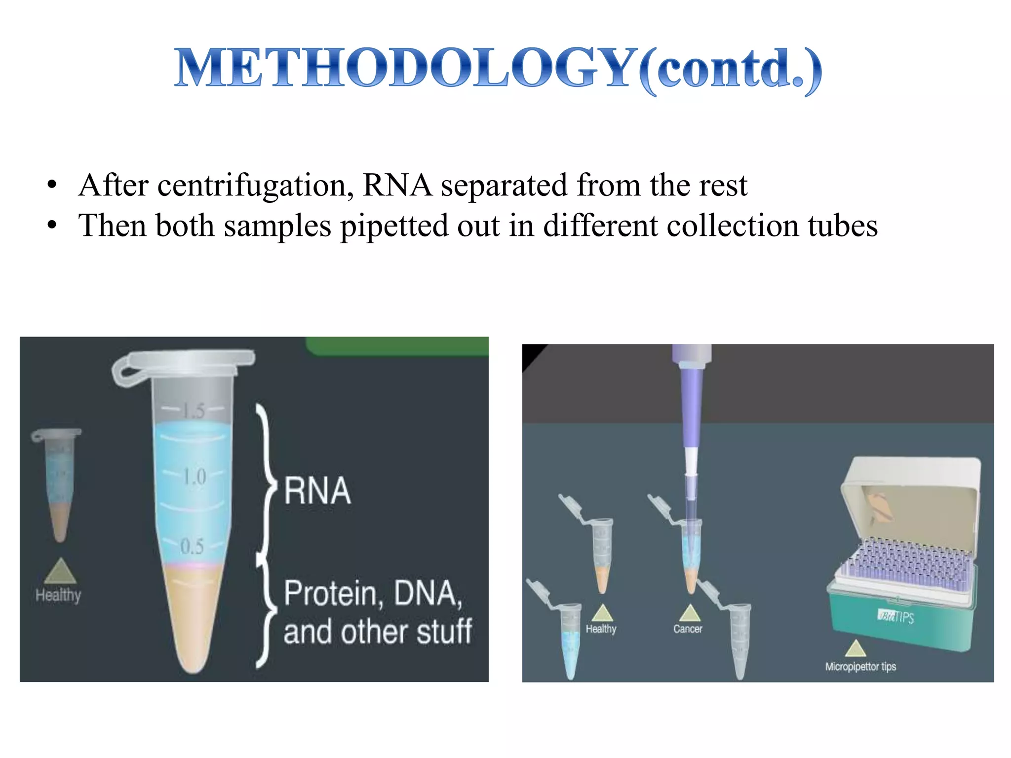 Dna microarray | PPTX