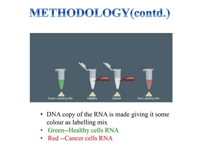 Dna microarray | PPT