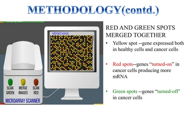Dna microarray | PPT