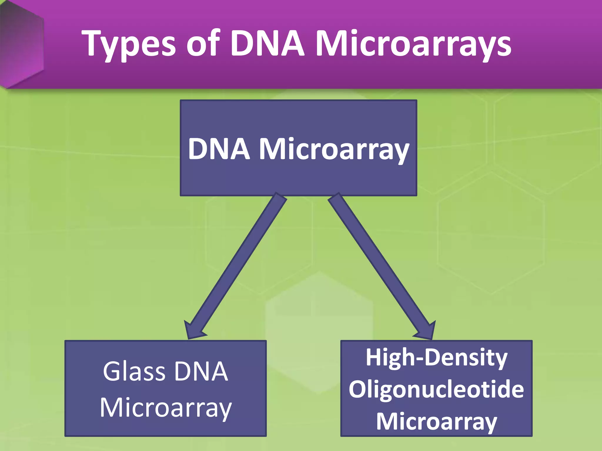 Dna microarray | PPT