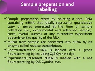 Dna microarray | PPTX