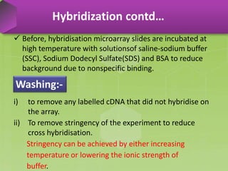 Dna microarray | PPTX