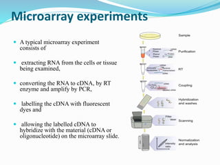 DNA micro array by kk sahu | PPTX | Biological Sciences | Science