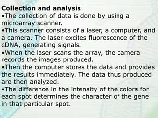 DNA microarray | PPTX