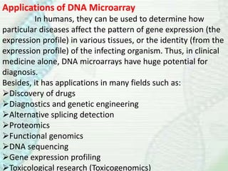DNA microarray | PPTX
