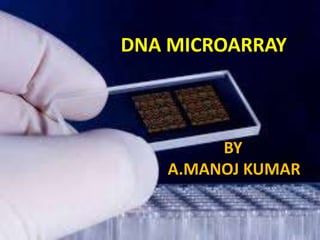 DNA microarray | PPT