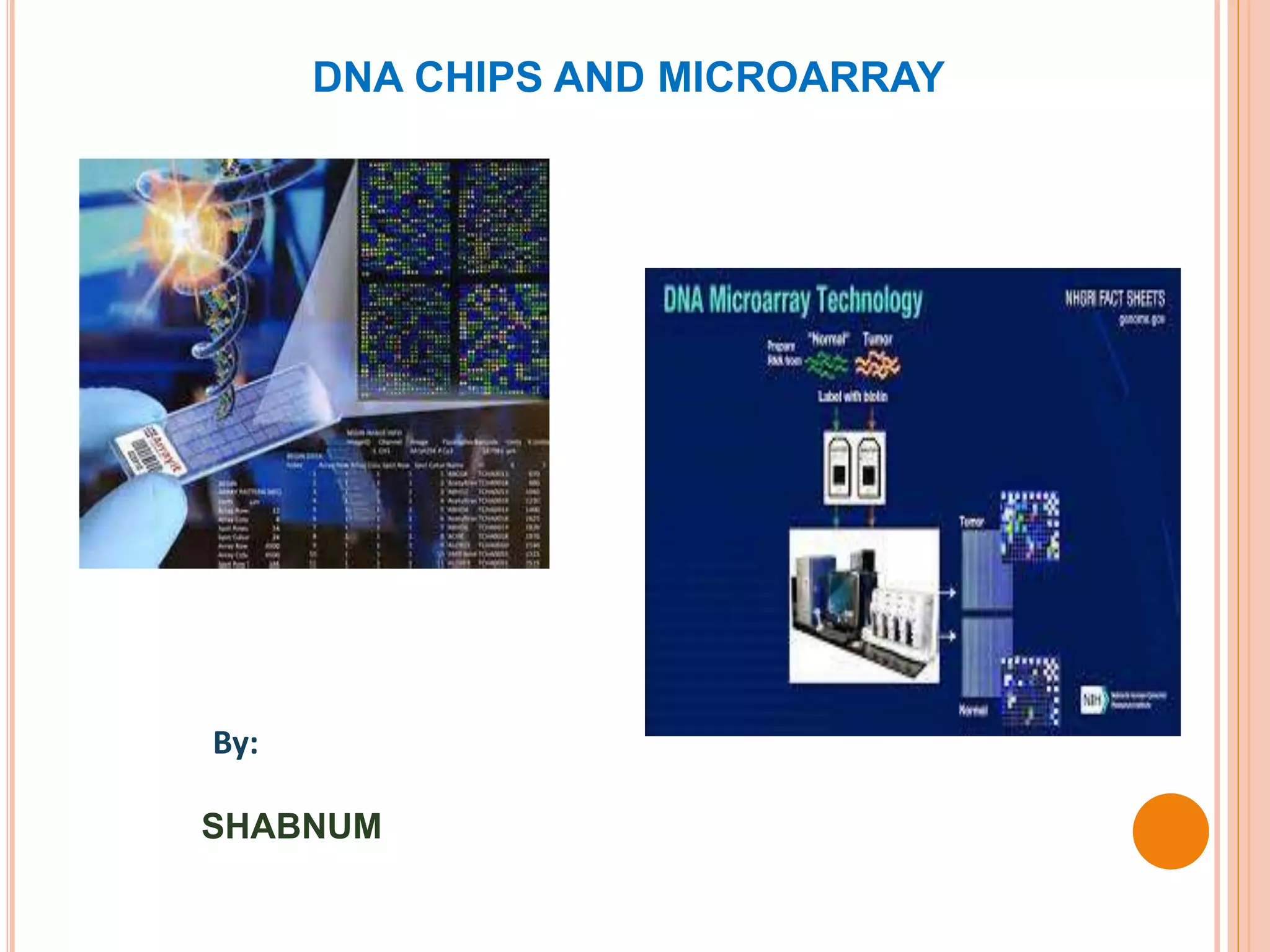DNA CHIPS AND MICROARRAY.pptx