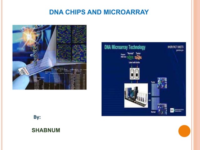 DNA CHIPS AND MICROARRAY.pptx